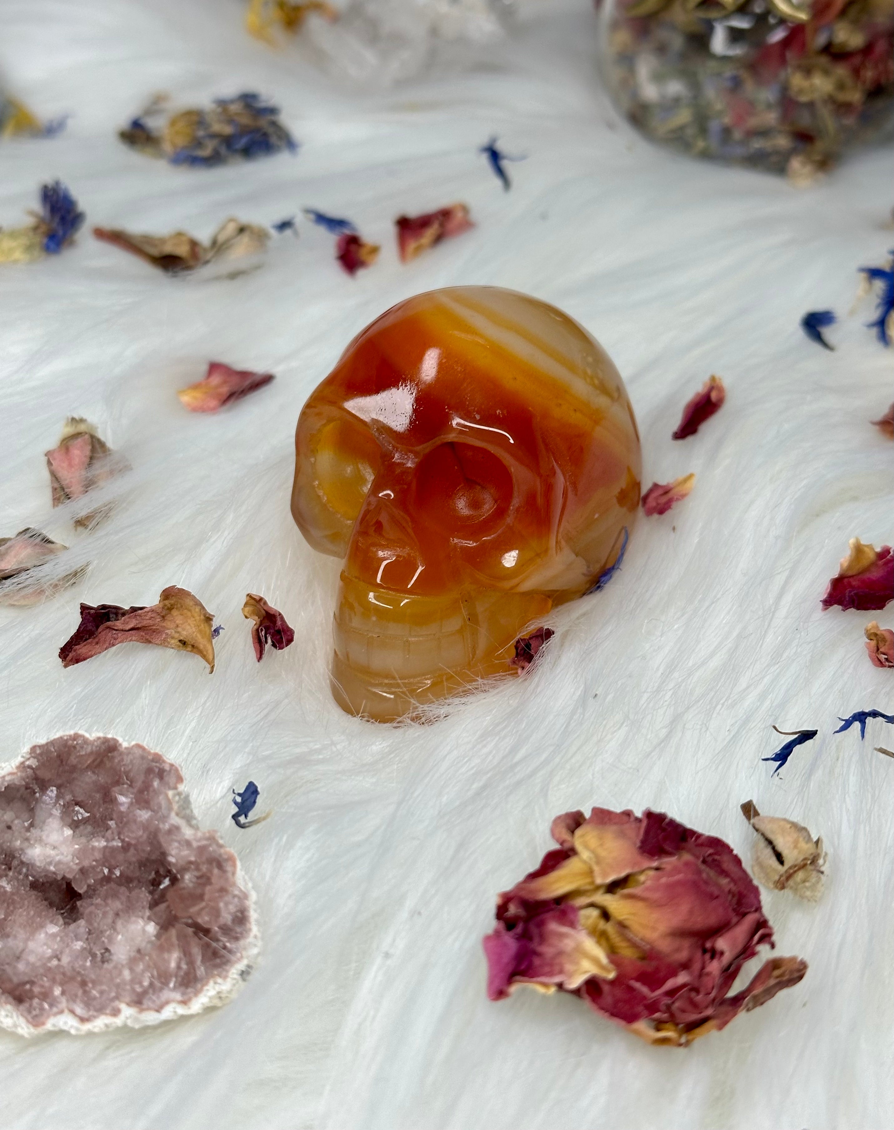 Carnelian Skull - Large – The Cosmic Exchange