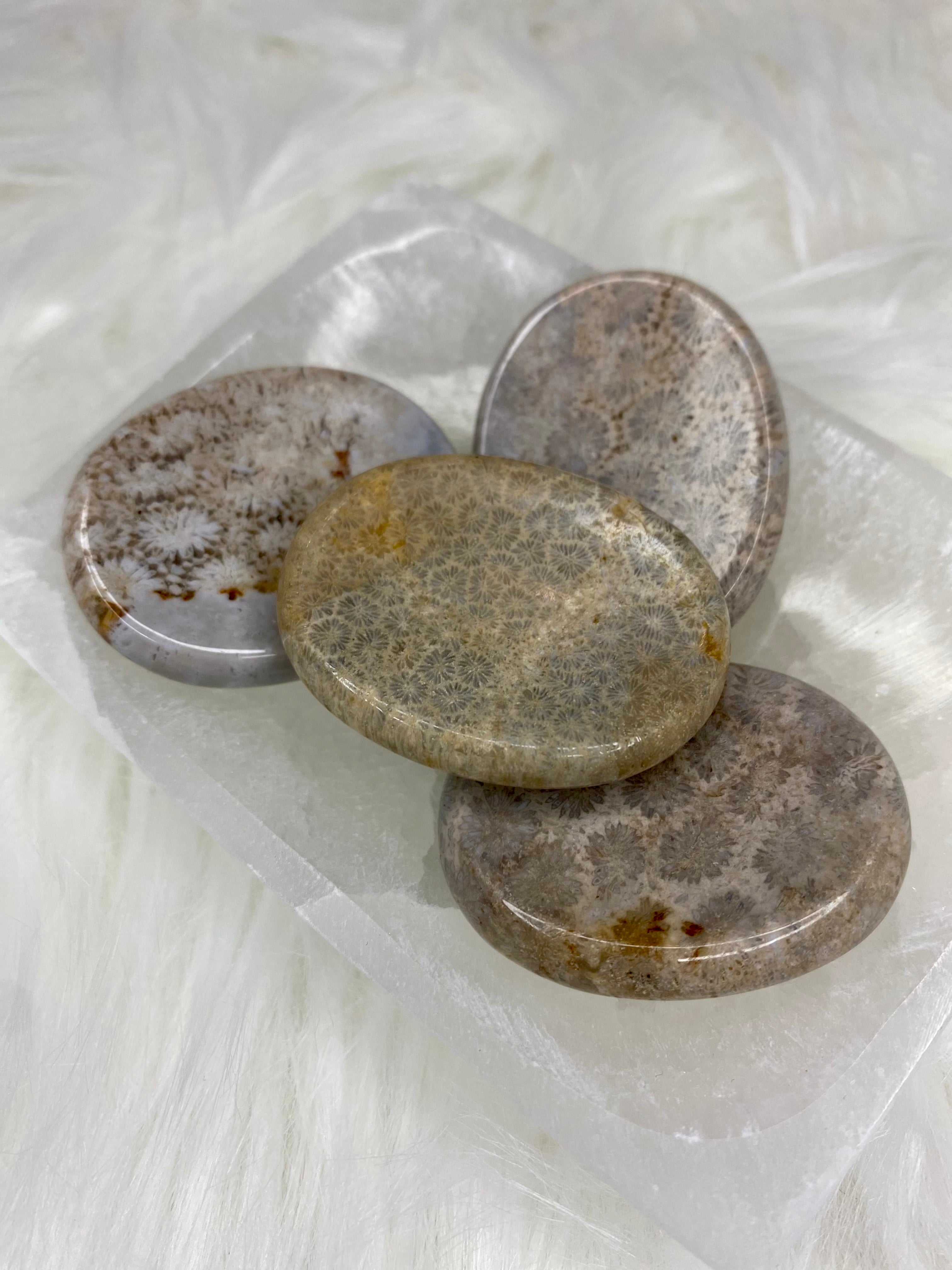 Worry Stone - Coral Jade – The Cosmic Exchange