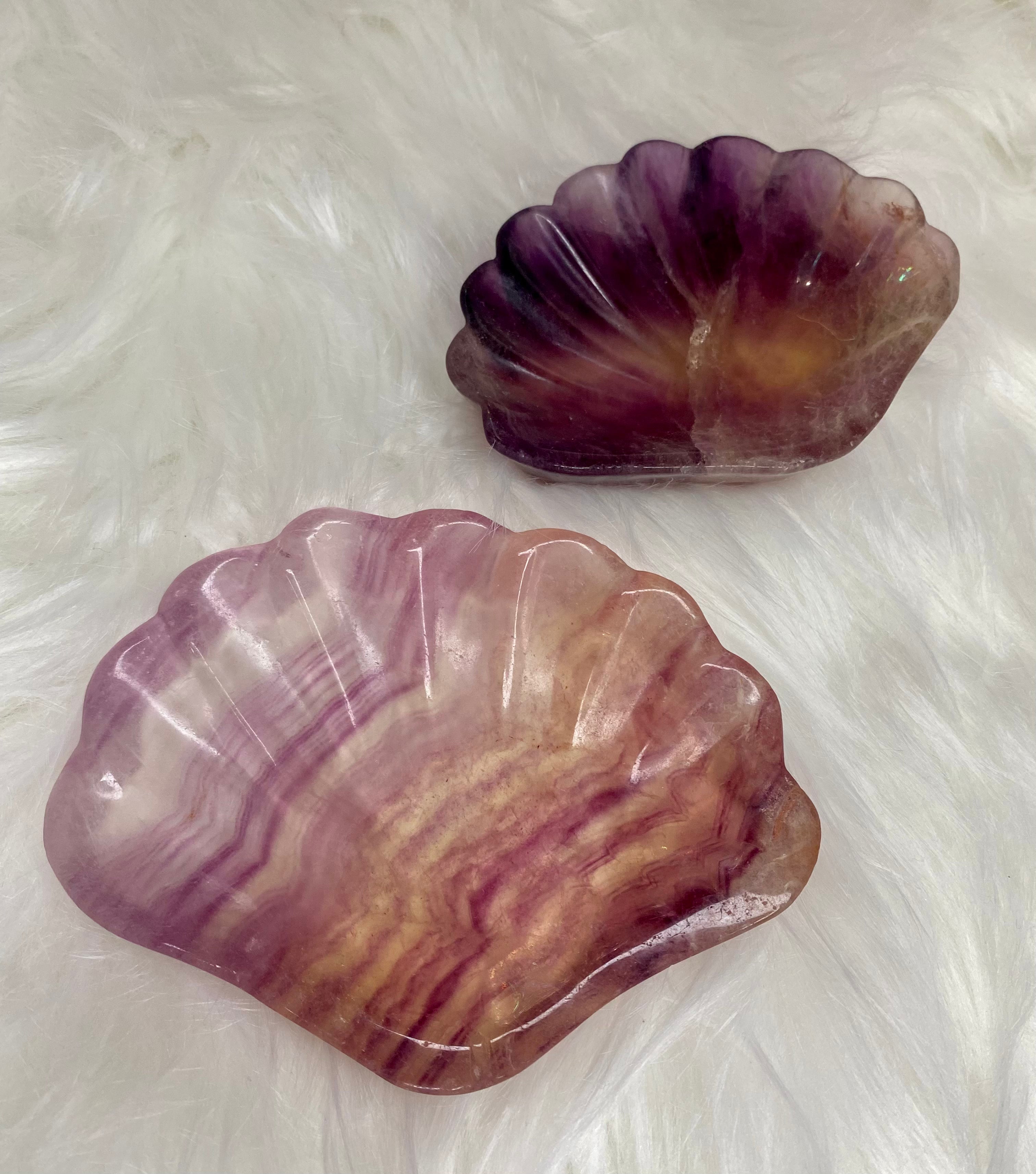 Magenta Fluorite Seashell Bowls – The Cosmic Exchange