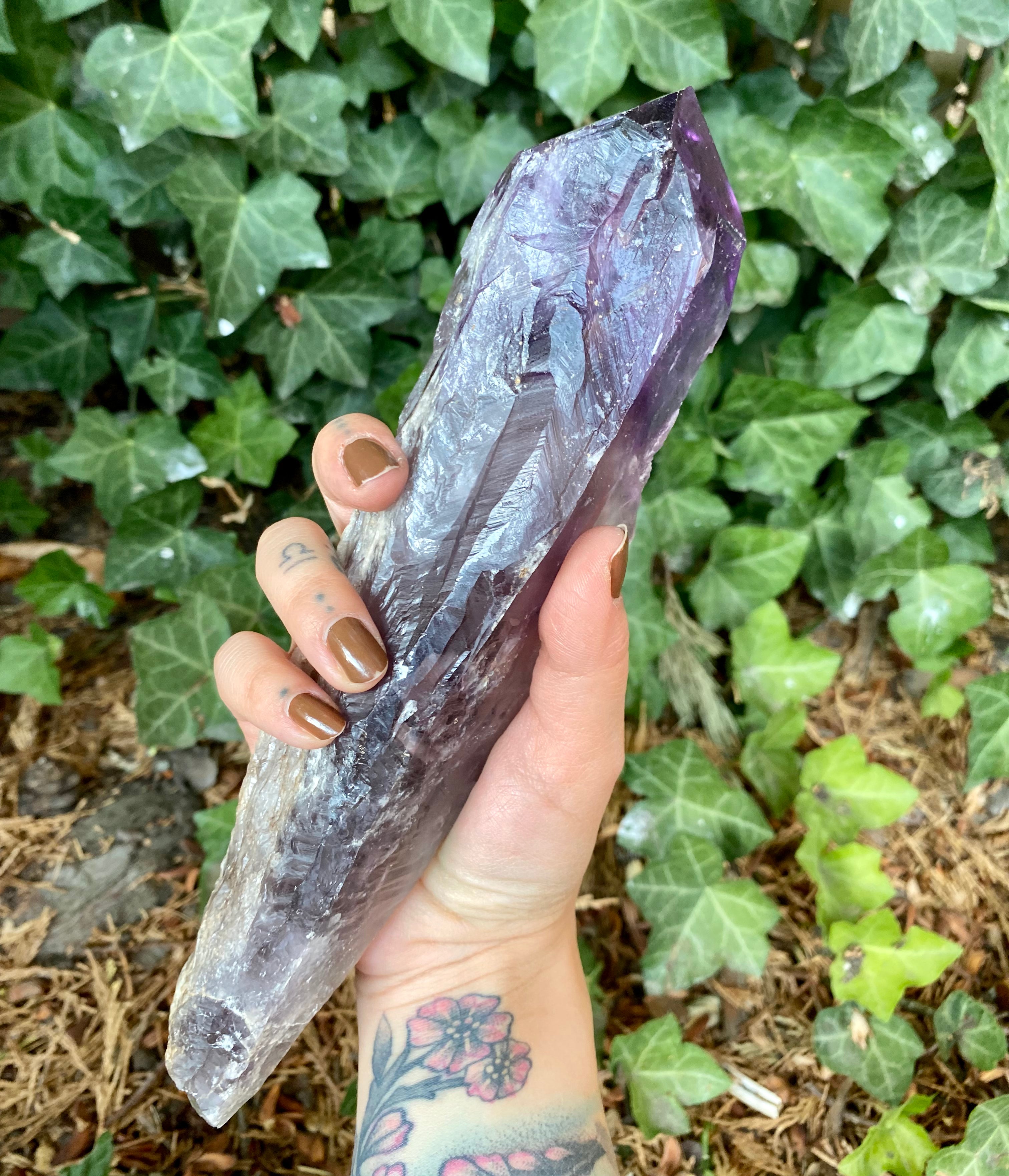 Large Bahia Root (Dragons Tooth) Amethyst – The Cosmic Exchange