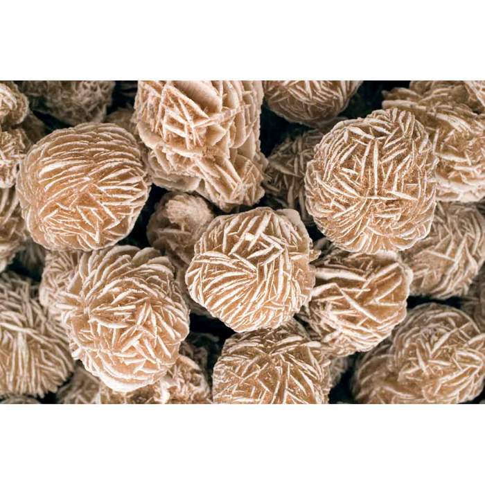 Desert Rose - Selenite gypsum – The Cosmic Exchange
